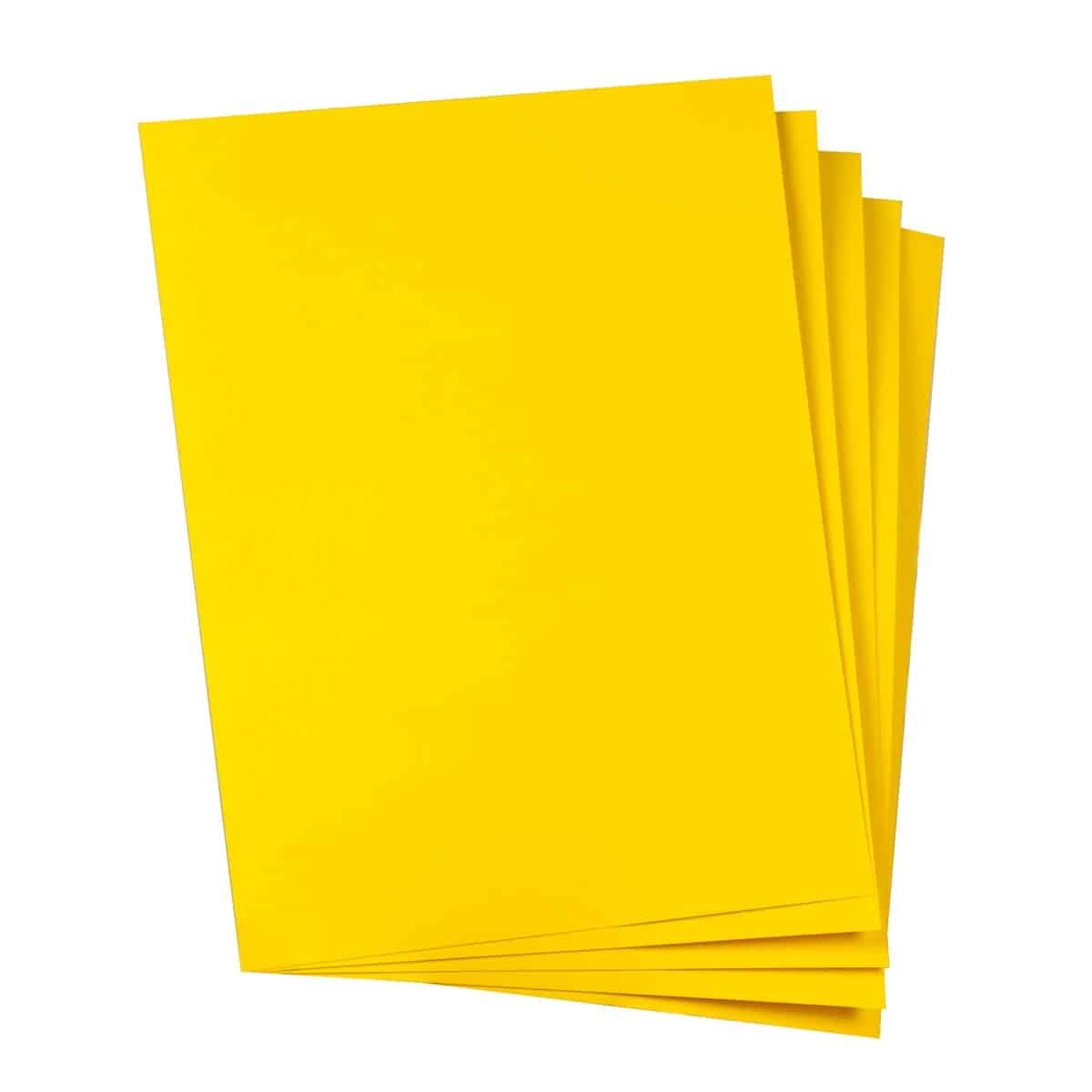 Large Bright Paper%%page%% %%sep%% %%sitename%%