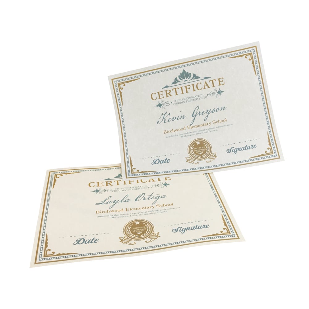 Parchment Paper | Hygloss Products